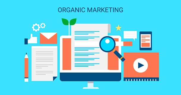 ¿Orgánico o pagado? ¿Qué funciona mejor en redes sociales?